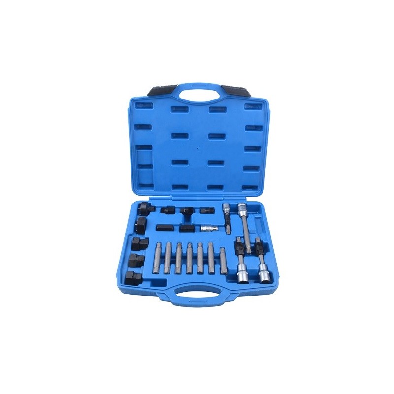Set de chei pentru fulii alternator 24 piese | Select Auto